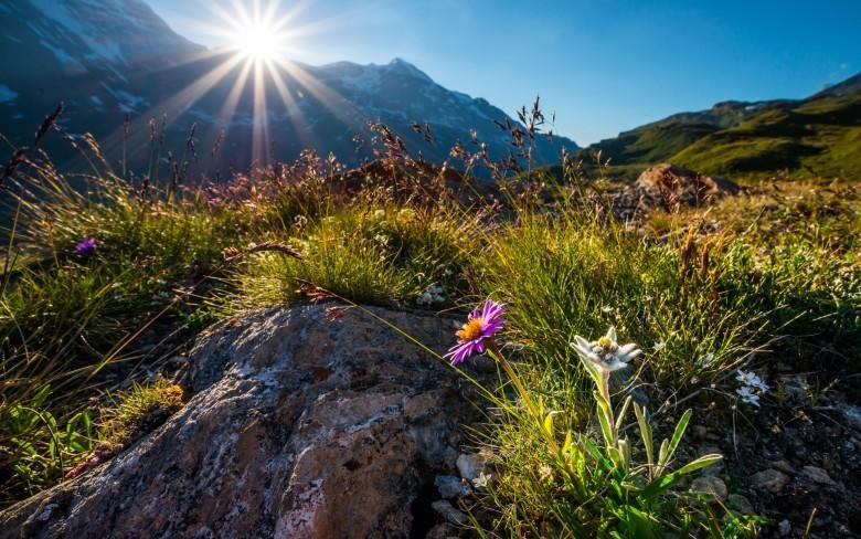 Classic Haute Route Trek - mountaintracks.co.uk